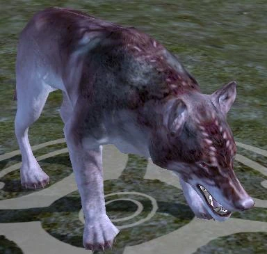 Corrupted Wolf | AoCWiki | Fandom