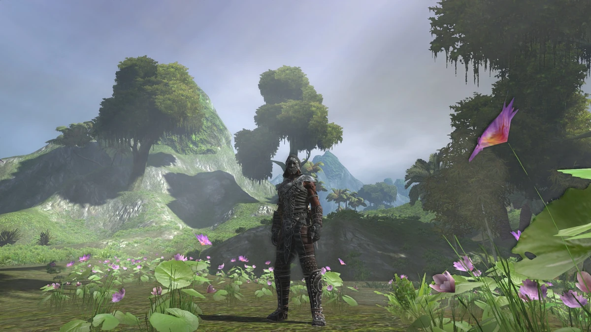 Assassin | AoCWiki | Fandom