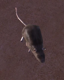 Cunning Rat | AoCWiki | Fandom