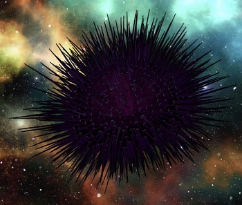 Balae | Aoshtai Wiki | Fandom