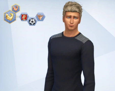 Hugo Sankt | AoT Honor Guard Wikia | Fandom