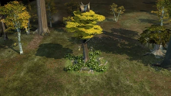 Mallorn Tree | Age of the Ring Mod Wiki | Fandom