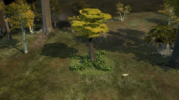 Mallorn Tree | Age of the Ring Mod Wiki | Fandom