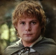 Samwise Gamgee (Shire) | Age of the Ring Mod Wiki | Fandom