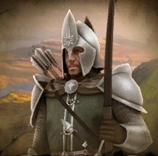Longbowmen of Cardolan | Age of the Ring Mod Wiki | Fandom