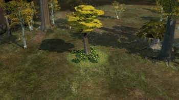 Mallorn Tree | Age of the Ring Mod Wiki | Fandom