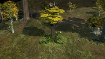 Mallorn Tree | Age of the Ring Mod Wiki | Fandom