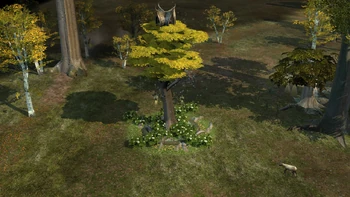 Mallorn Tree | Age of the Ring Mod Wiki | Fandom