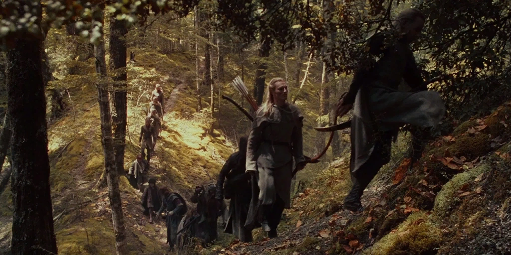 The Fellowship In Lothlorien