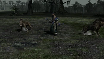 Nâfarati Beastmaster | Age of the Ring Mod Wiki | Fandom