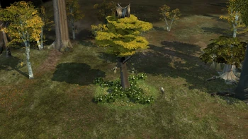 Mallorn Tree | Age of the Ring Mod Wiki | Fandom