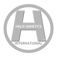 Helix Ascent Wiki | Fandom