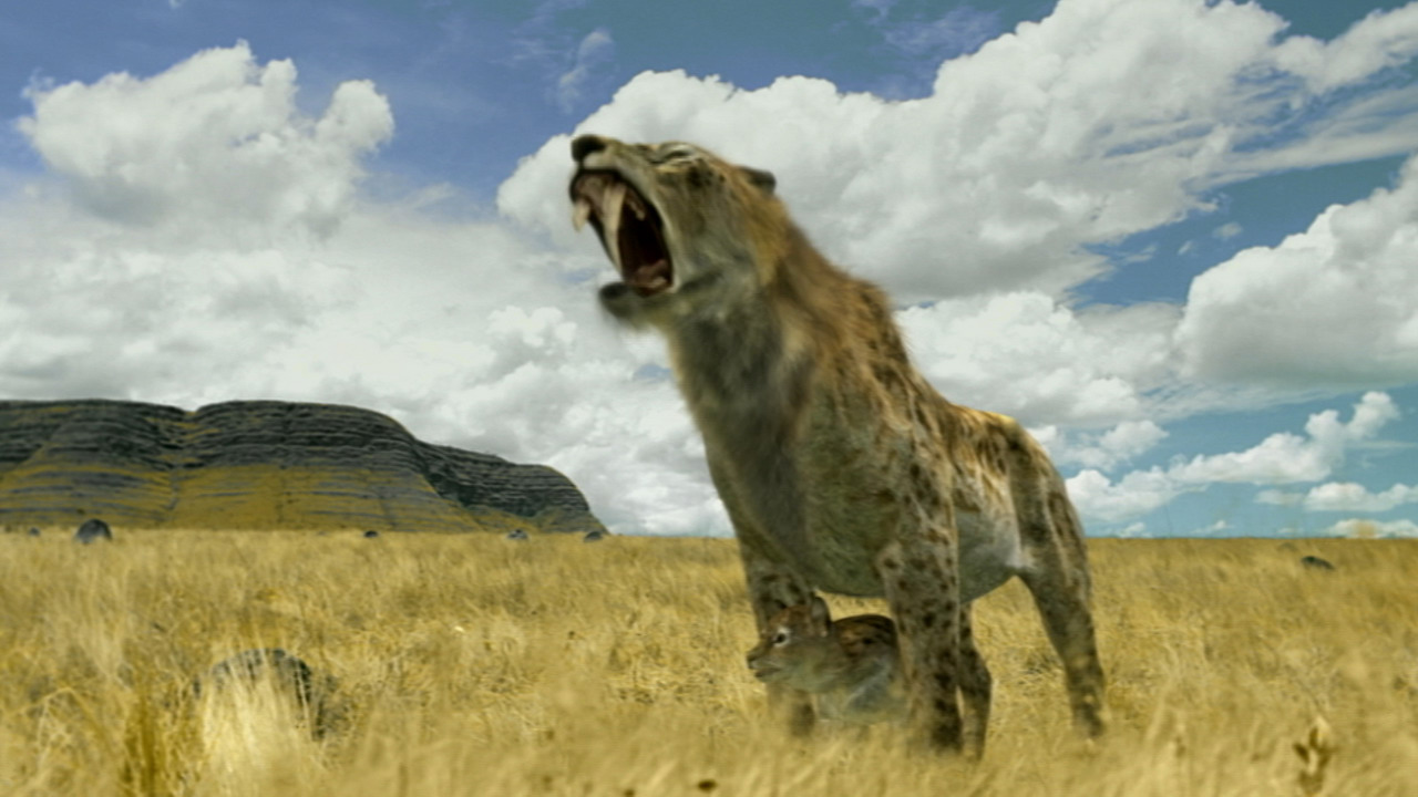 Sabre Toothed Cats Andys Fandom Adventures Fandom