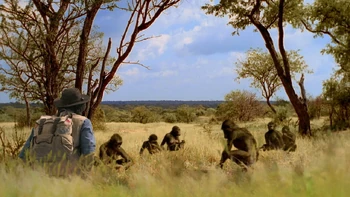Australopithecus and Tool | Andy's Fandom Adventures | Fandom