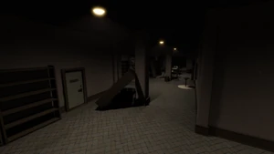 Level 17: "Left Scarred" | Apeirophobia Wiki | Fandom