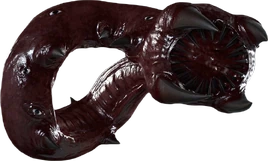 Memory Worm | Apeirophobia Wiki | Fandom