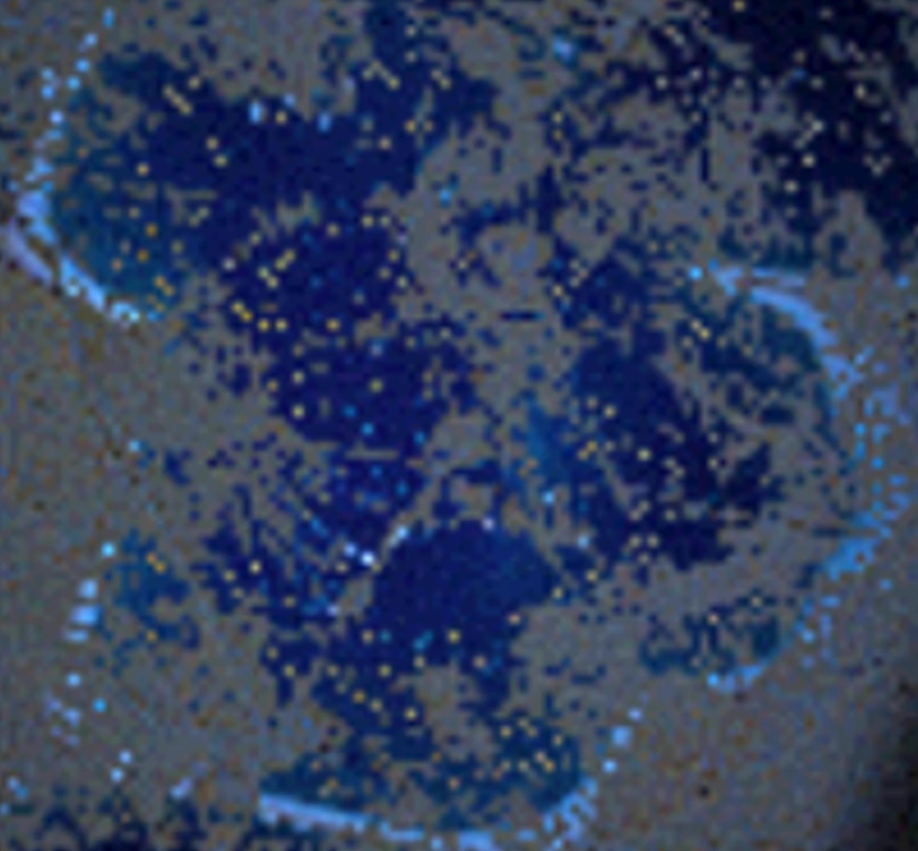 Four Leaf Bay (Lateiso) | Apex System Exploration Wiki | Fandom