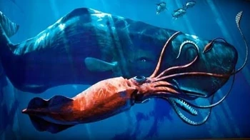 Colossal Squid | Apex Predators Wiki | Fandom