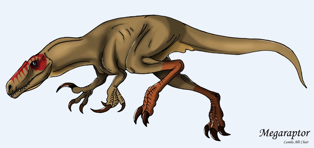 Megaraptor | Apex Predators Wiki | Fandom