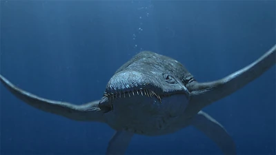 Pliosaurus funkei | Apex Predators Wiki | Fandom