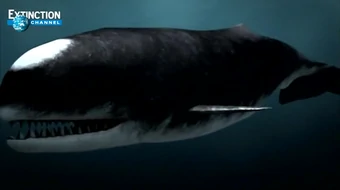 Brygmophyseter | Apex Predators Wiki | Fandom