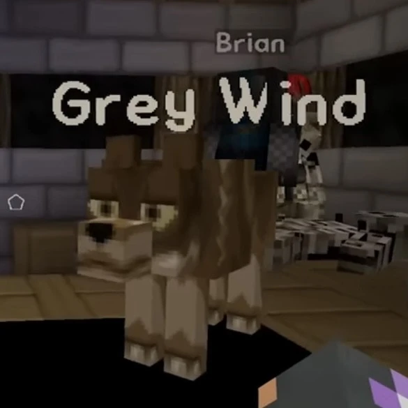 Grey Wind (Minecraft Diaries) | Aphmau Wiki | Fandom