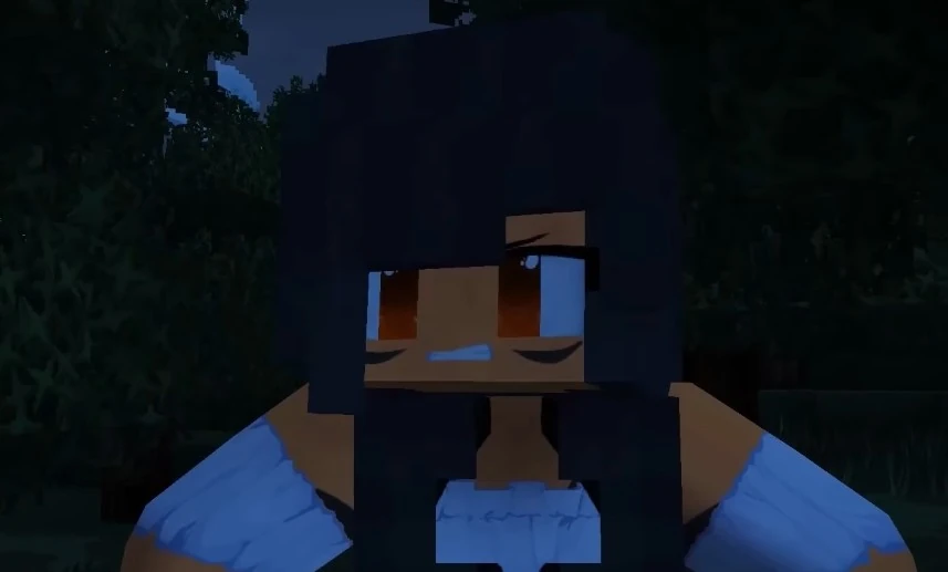 User blog:ProtonicStarshipTerrifyier/MEEMEOW INVADER SETUP | Aphmau ...