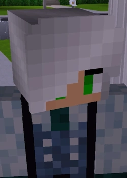 Travis From Aphmau My Street