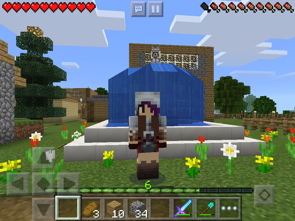 Category:Rouge shadow knight | Aphmau Wiki | Fandom