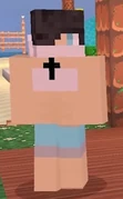 Zane (Minecraft Diaries)/Gallery | Aphmau Wiki | Fandom