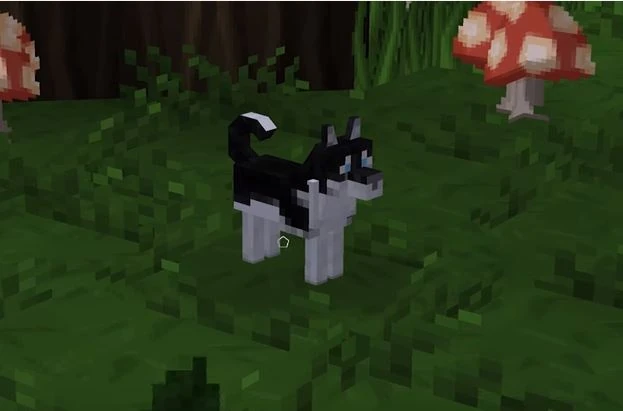 Category:Aphmau's Pet | Aphmau Wiki | Fandom