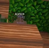 Alexis (Minecraft Diaries)/Gallery | Aphmau Wiki | Fandom