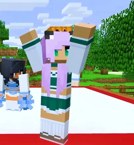 Michi (SMP)/Gallery | Aphmau Wiki | Fandom