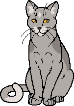 Graystar | A Place in The Stars Wiki | Fandom