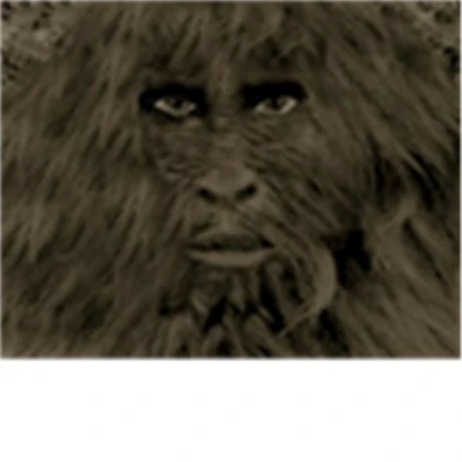 Swamp Creature | Lost Tapes Wiki | Fandom