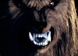 Skinwalker | Lost Tapes Wiki | Fandom