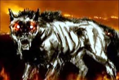 Hellhound Dog Lost Tapes