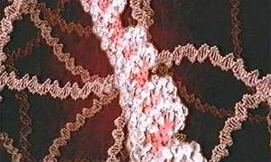 Symbiote | Apocalypse Wiki | Fandom