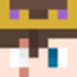 Canonical Injuries | Apollo SMP Wiki | Fandom