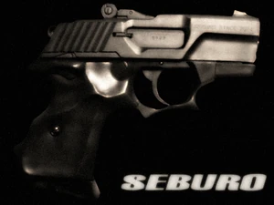 Seburo | Appleseed | Fandom