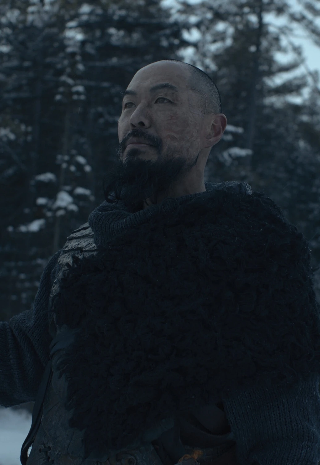 Toad | See Wiki | Fandom