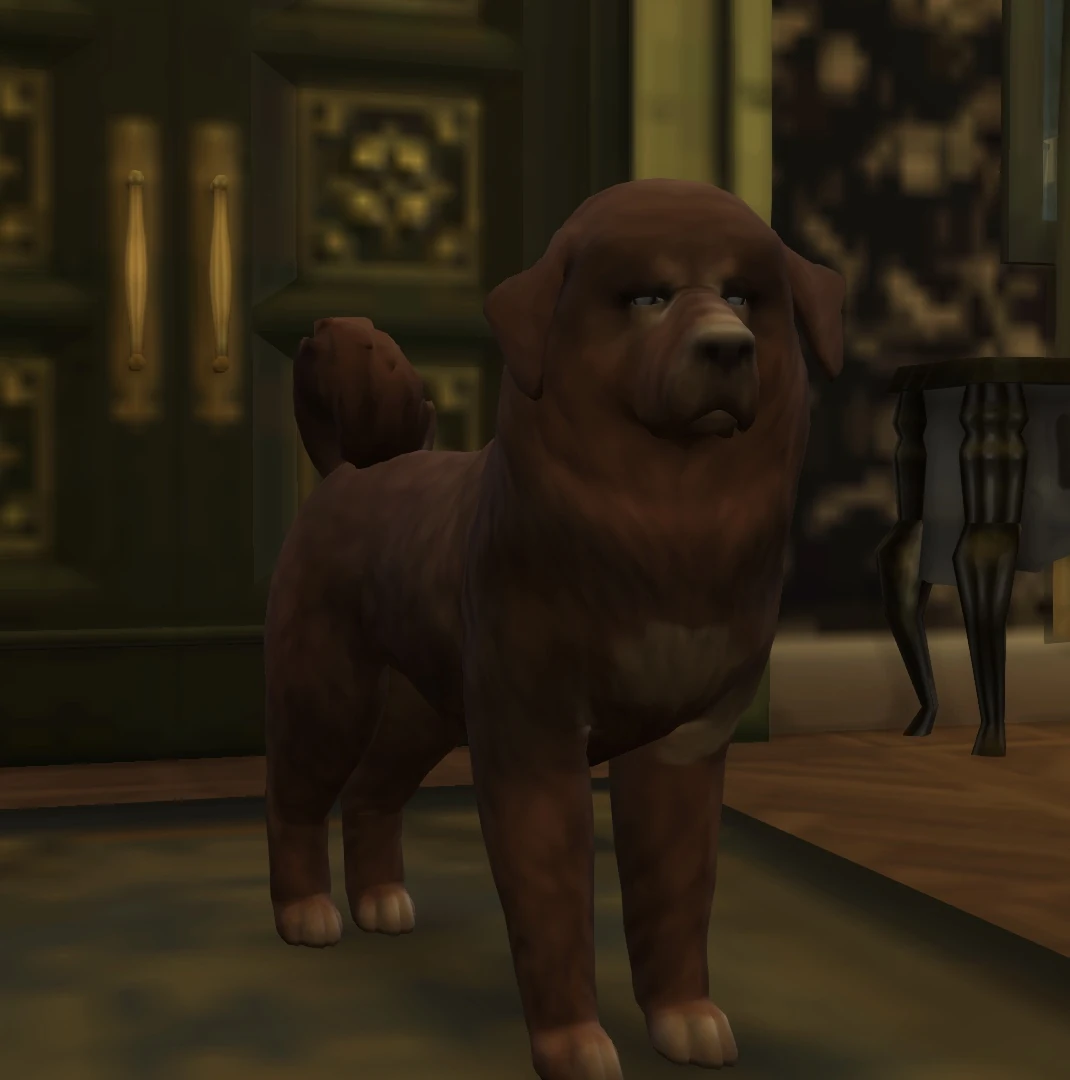 Boris Ceicys | April’s Bby Sims 4 Realm Legacy Wiki | Fandom