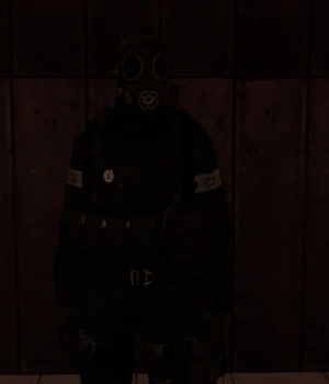 MTF ALPHA-1 Sergeant | Aquila Empire - SCP: LC Wiki | Fandom