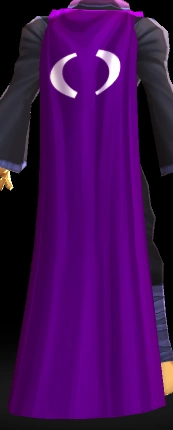 MMORPG Cape | AQ3D Wiki | Fandom