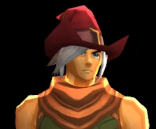 Patched Hat | AQ3D Wiki | Fandom