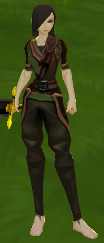 Traveler's Outfit | AQ3D Wiki | Fandom