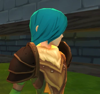 Leather Shoulderpads | AQ3D Wiki | Fandom