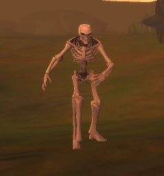 Intro Skeleton | AQ3D Wiki | Fandom