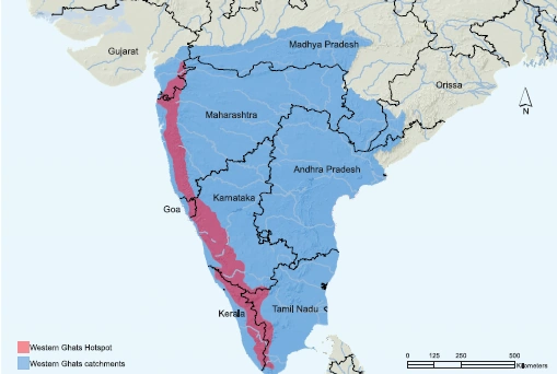 Zodiac Loach (Mesonoemacheilus triangularis) | /aq/ Freshwater Wiki ...