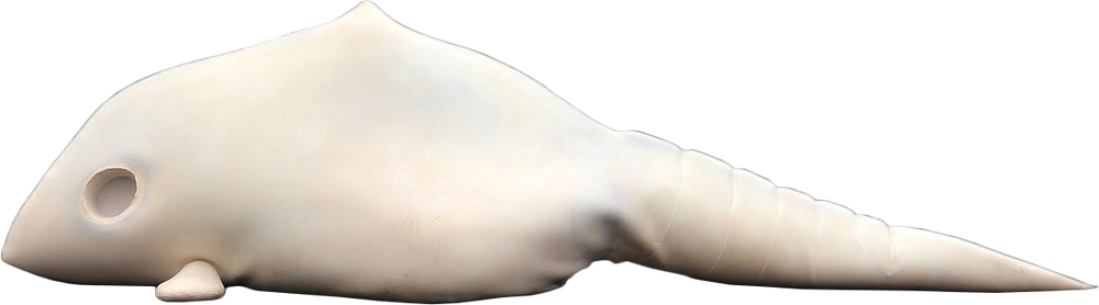 Gavadon | AquaBunnel Wiki | Fandom